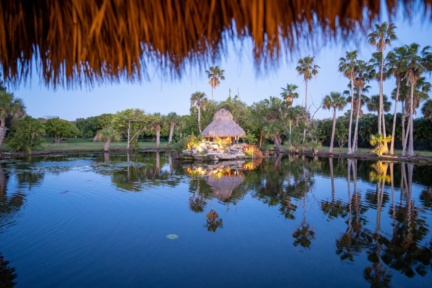 9 Great Backyard Tiki Bar Ideas - Backyard University