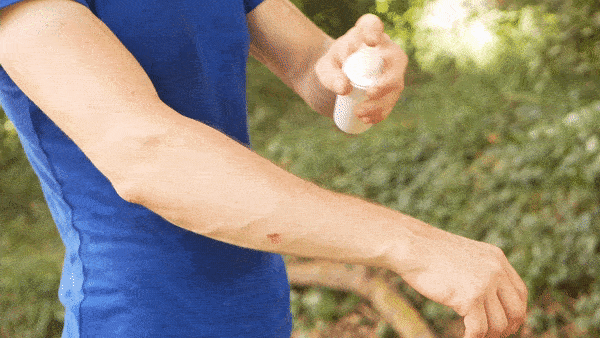 What Is A Chigger? - Backyard University
