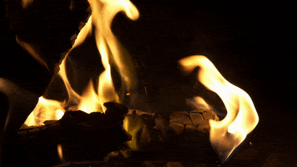 9 Best Fire Pits Propane And Wood Burning - Backyard University